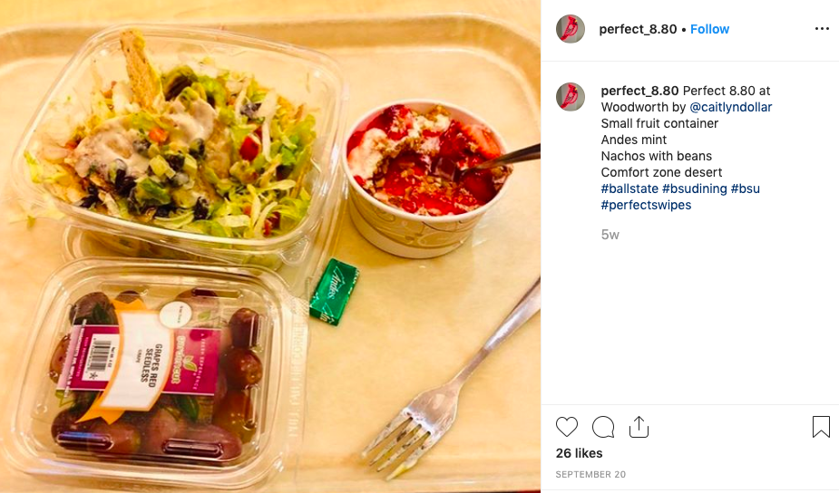 Sophia Hoffert: Picture Perfect Meal Swipes - Honors College Blog