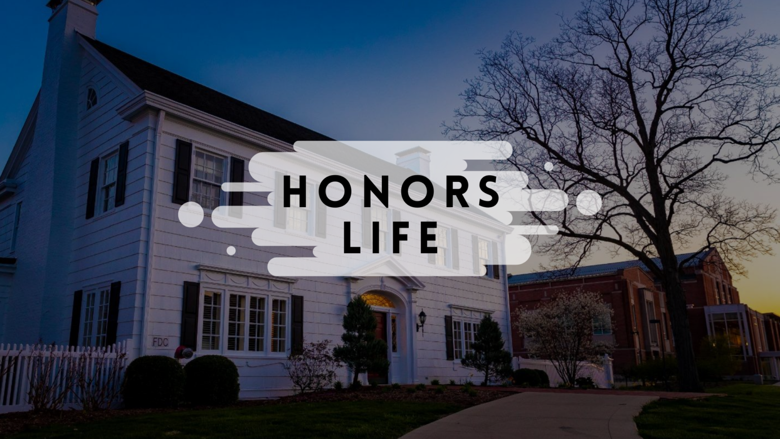 Honors and the Art Museum: Emma Cieslik is a Collections Assistant at ...