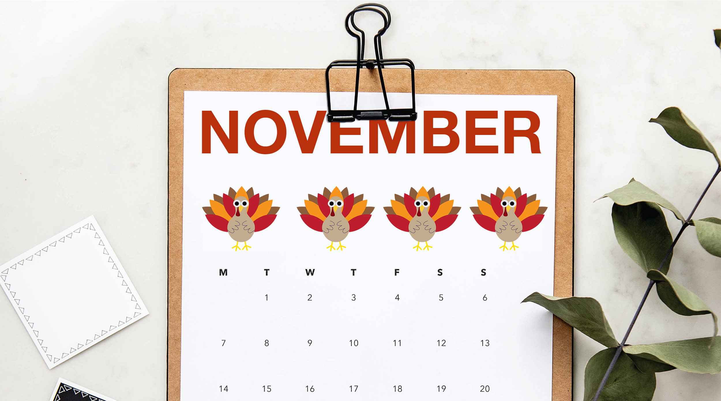 Good News November - CCIM Digest