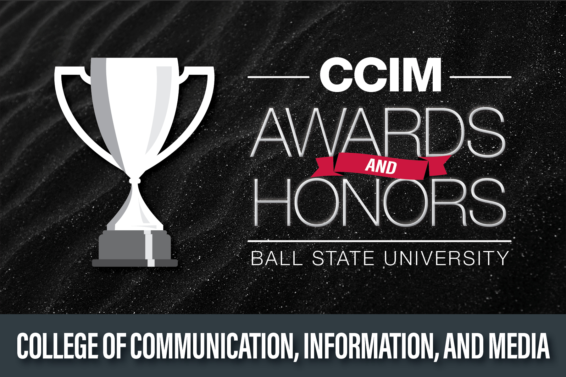 2023 CCIM Faculty and Staff Awards - CCIM Digest
