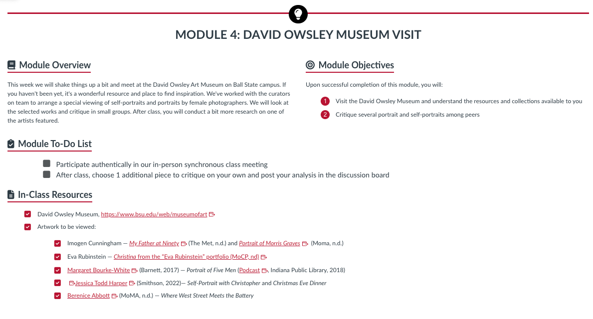 Designing with the Learner in Mind: How I Use Canvas to Support My In ...