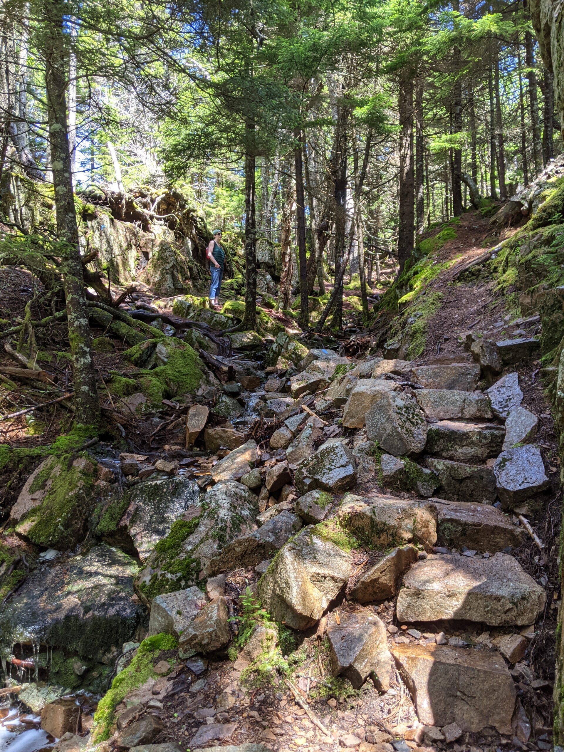 Guideposts, Not Guardrails: The Role of Learning Objectives - The ...