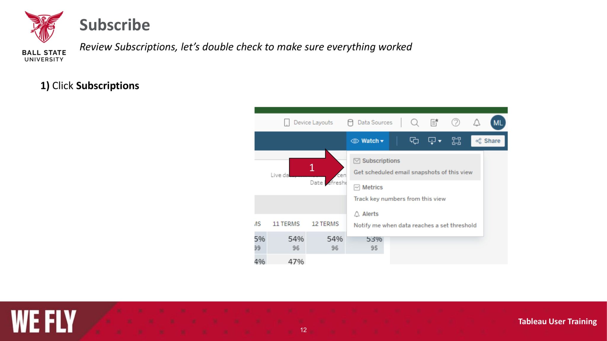 Tableau Training - Using Tableau Effectively, Views and Subscriptions - Data Insider