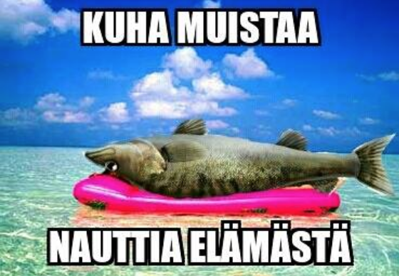 Mai Kuha: The Year of My Meme - Ball State English Department